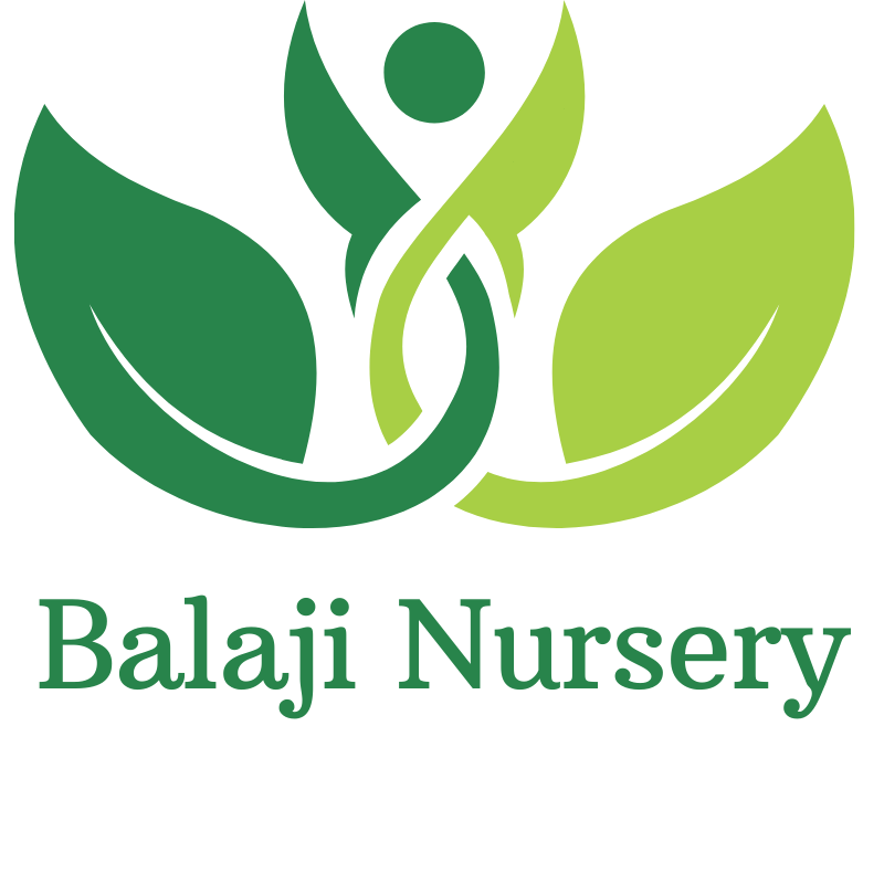 Natural Lawn Grass Manufacturer & Supplier in Delhi NCR | Balaji Nursery
