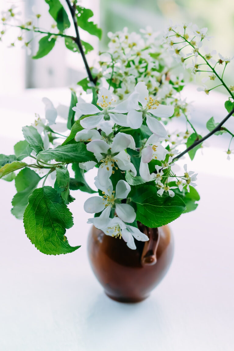 Top 10 Spiritual Plants You Must Have at Home (Explained)- Balaji Nursery