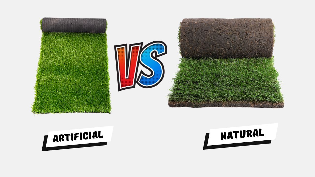 Artificial Grass vs Natural Turf: Which is Better? - Balaji Nursery