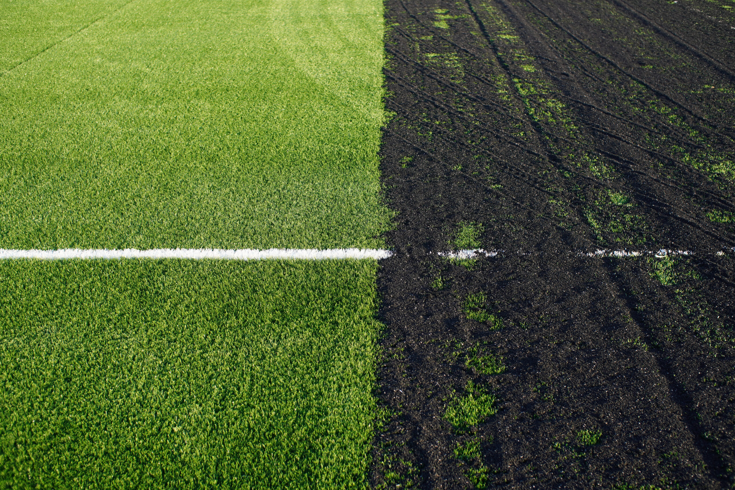 Sod vs. Seed: Which is Better for Your Natural Lawn? - Balaji Nursery