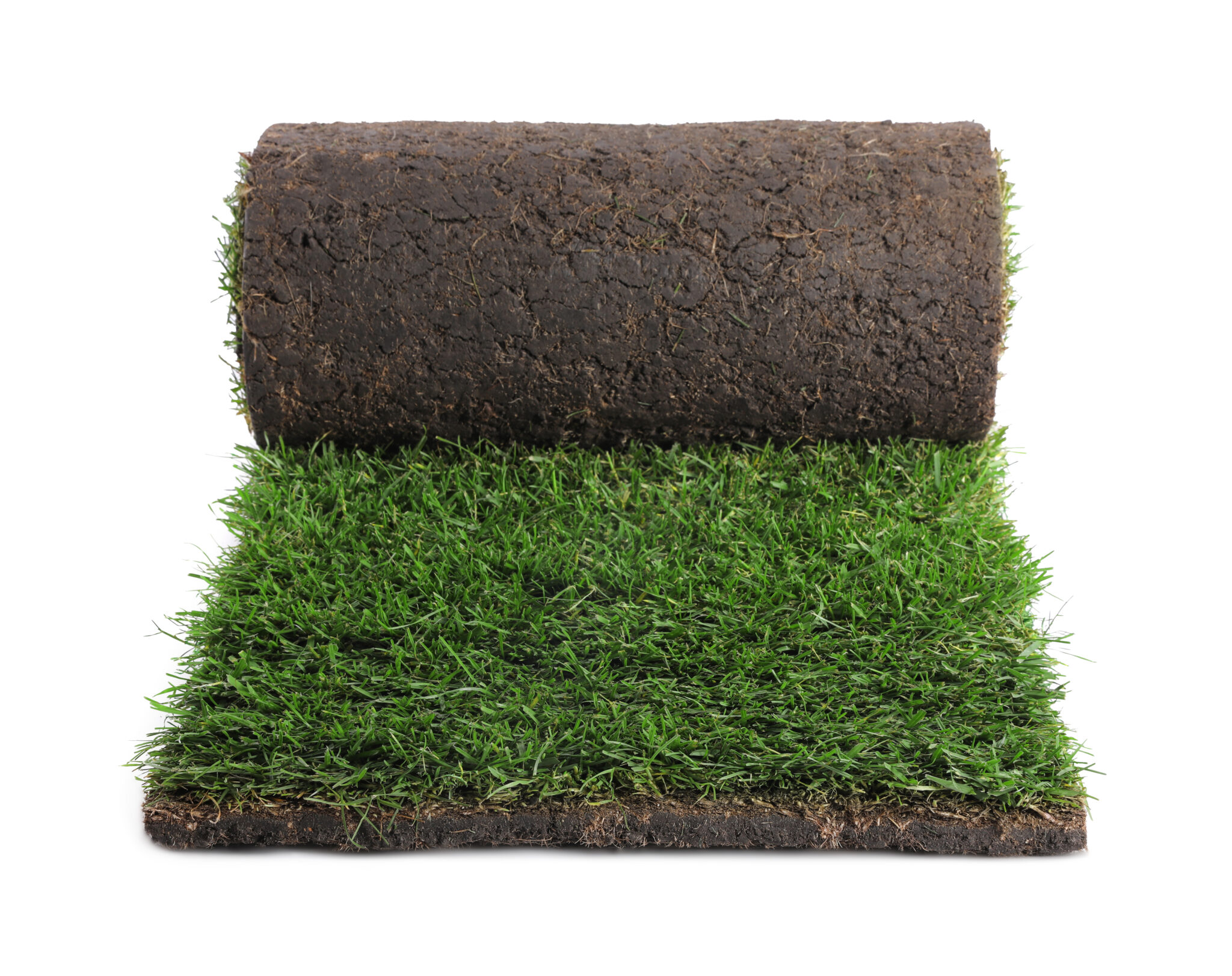 Artificial Grass vs Natural Turf: Which is Better? - Balaji Nursery