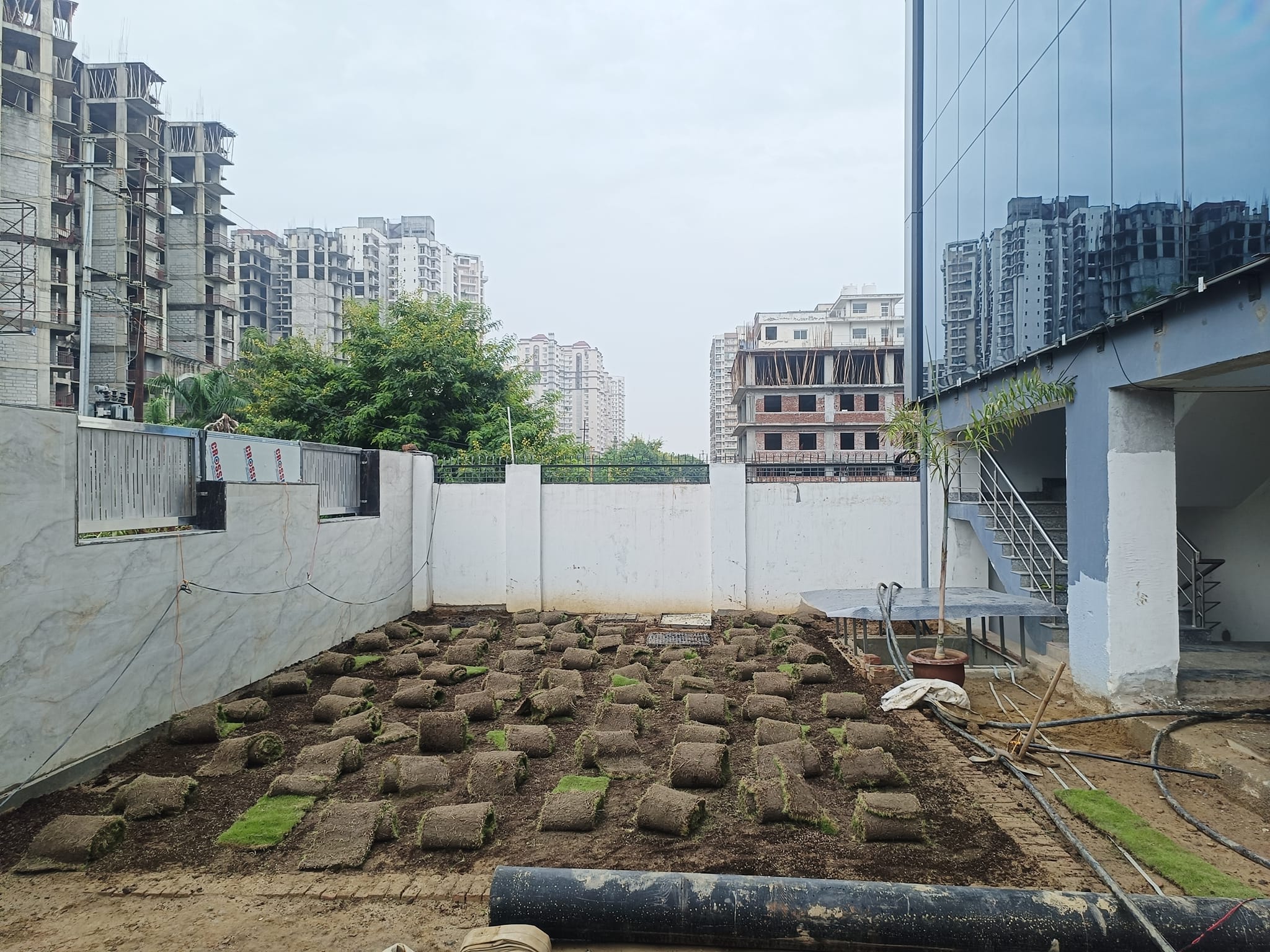 How to Get a Perfect Lawn in Just One Weekend - Balaji Nursery