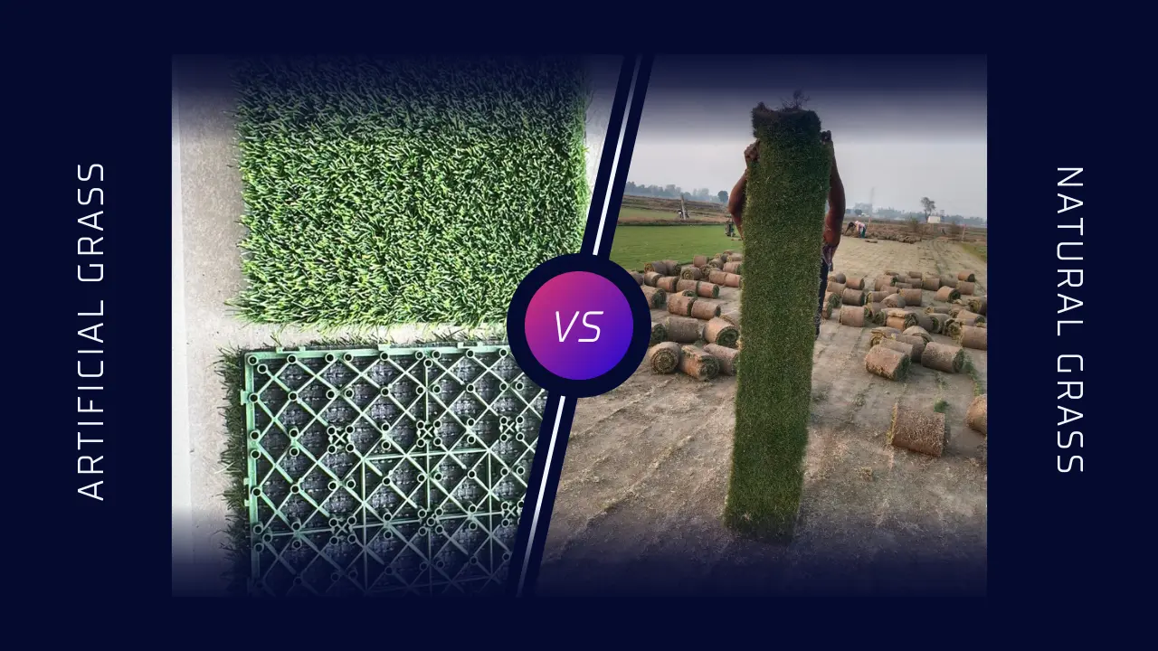 Artificial Grass vs Natural Grass: Which is Better? - Balaji Nursery