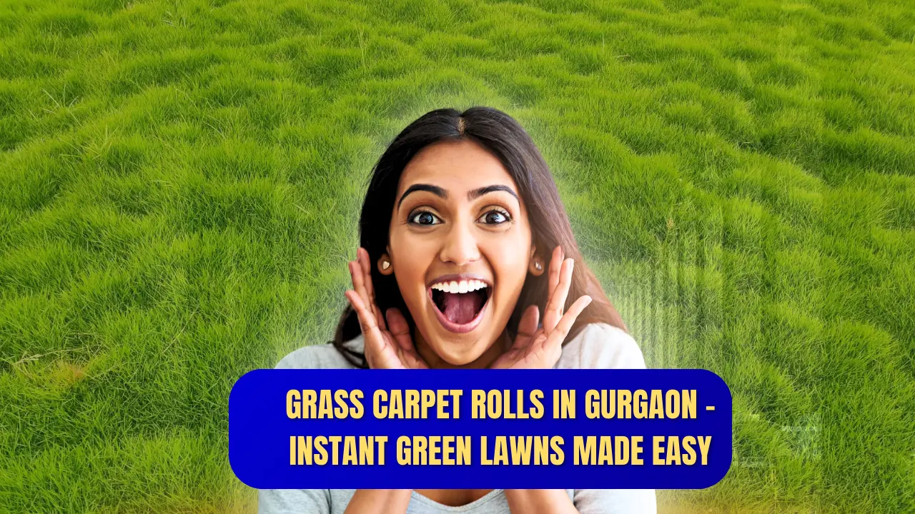 Grass Carpet Rolls in Gurgaon: Transform Your Space - Balaji Nursery